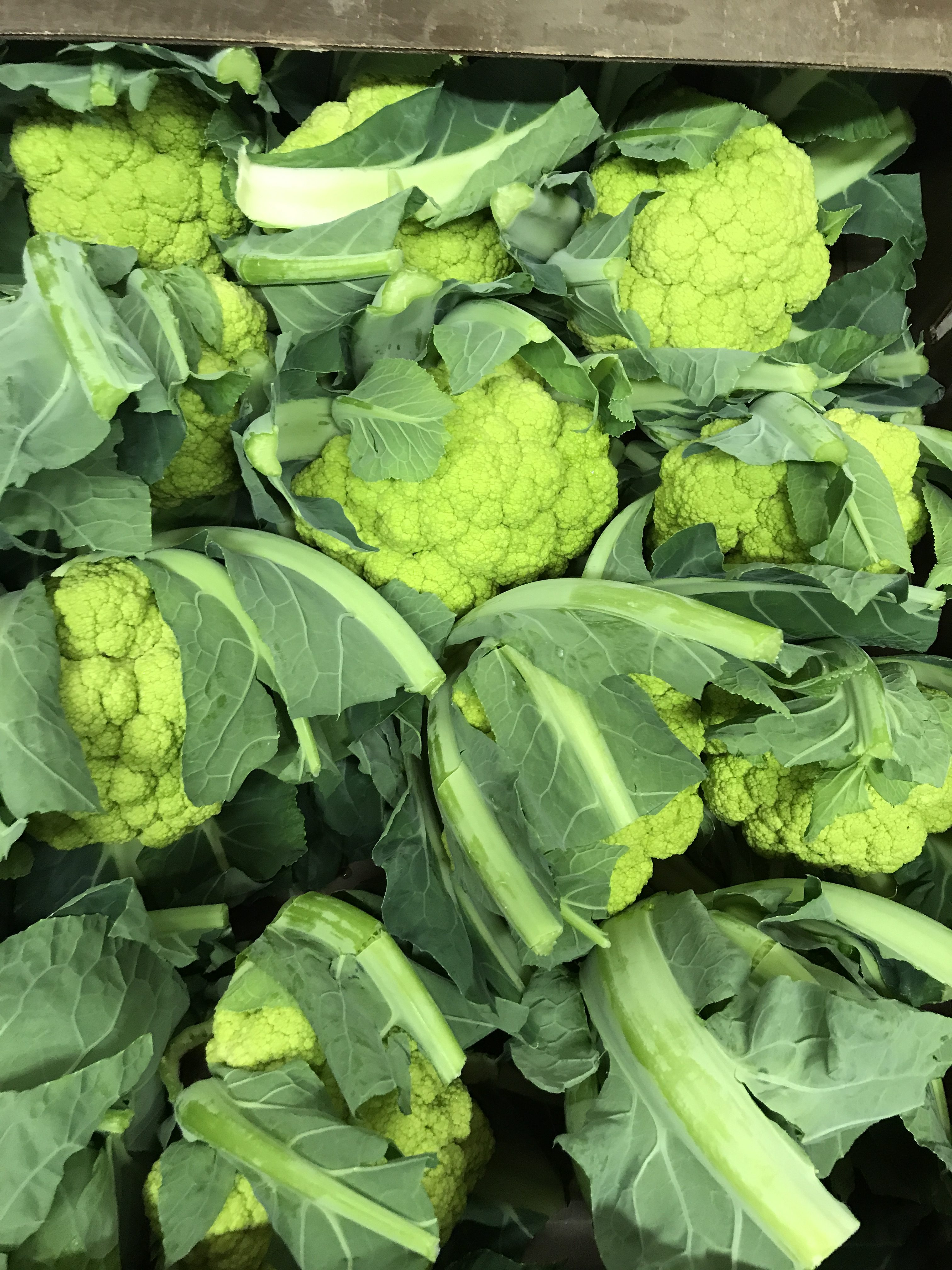 vb_cauliflower_1 – Vari-Berry Farms: Pick, Deliver and Eat Today